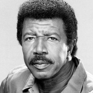 Every detail you want to know about Hal Williams - The Tiger News